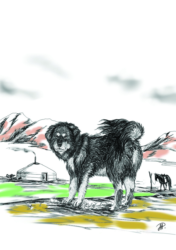 Mongolian Bankhar Dog – Tend My Sheep